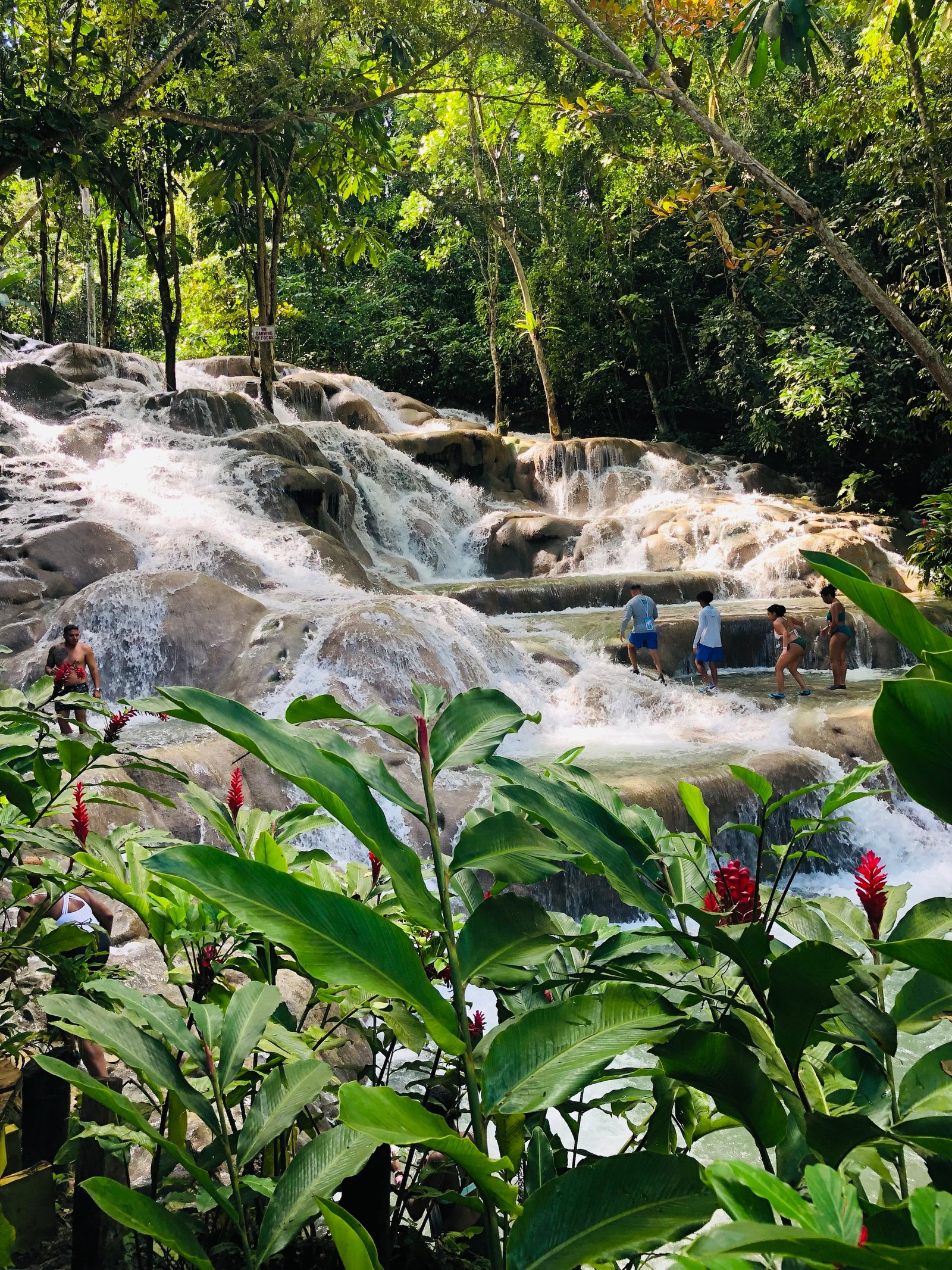 Bob Marley Nine Miles & Dunn’s River Falls Combo Tour Package ...